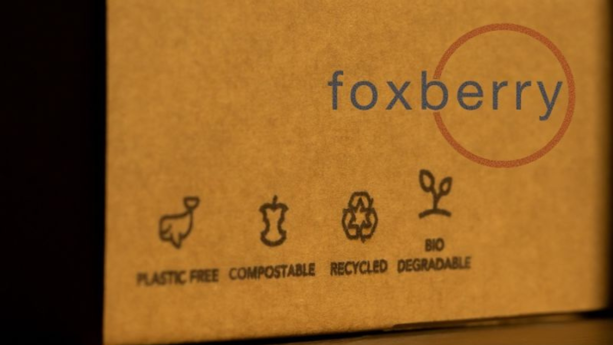 Foxberry's ETFs & Circular Economy | Level 39